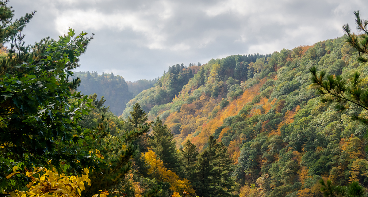 Whetstone Gulf State Park | Newzjunky