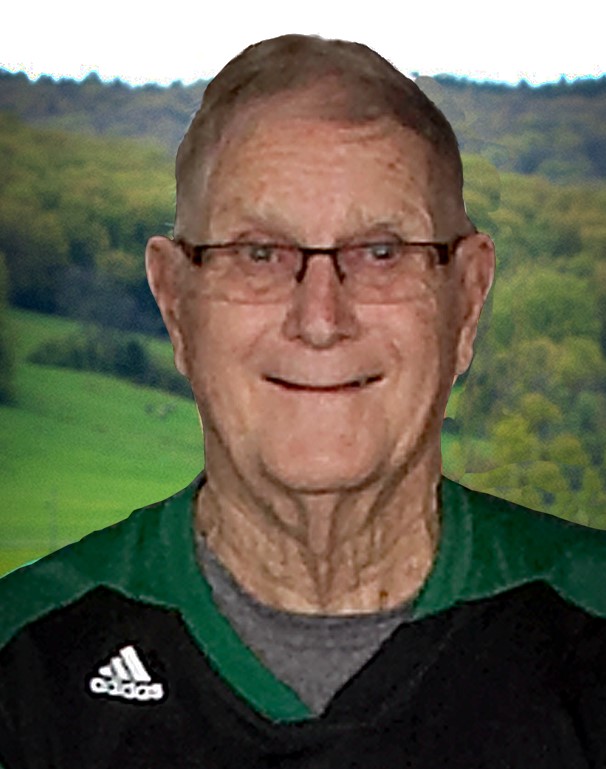 Edward R. Watkins, 90, Lowville | Newzjunky