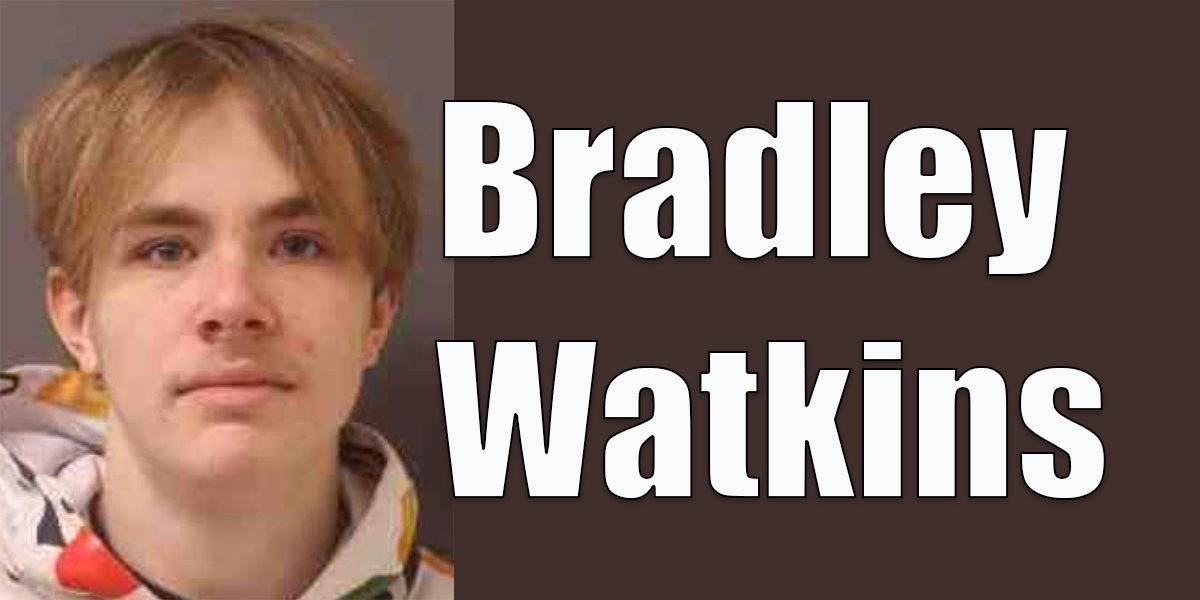What happened overnight? Police blotter report for Sunday, Nov. 19 ...