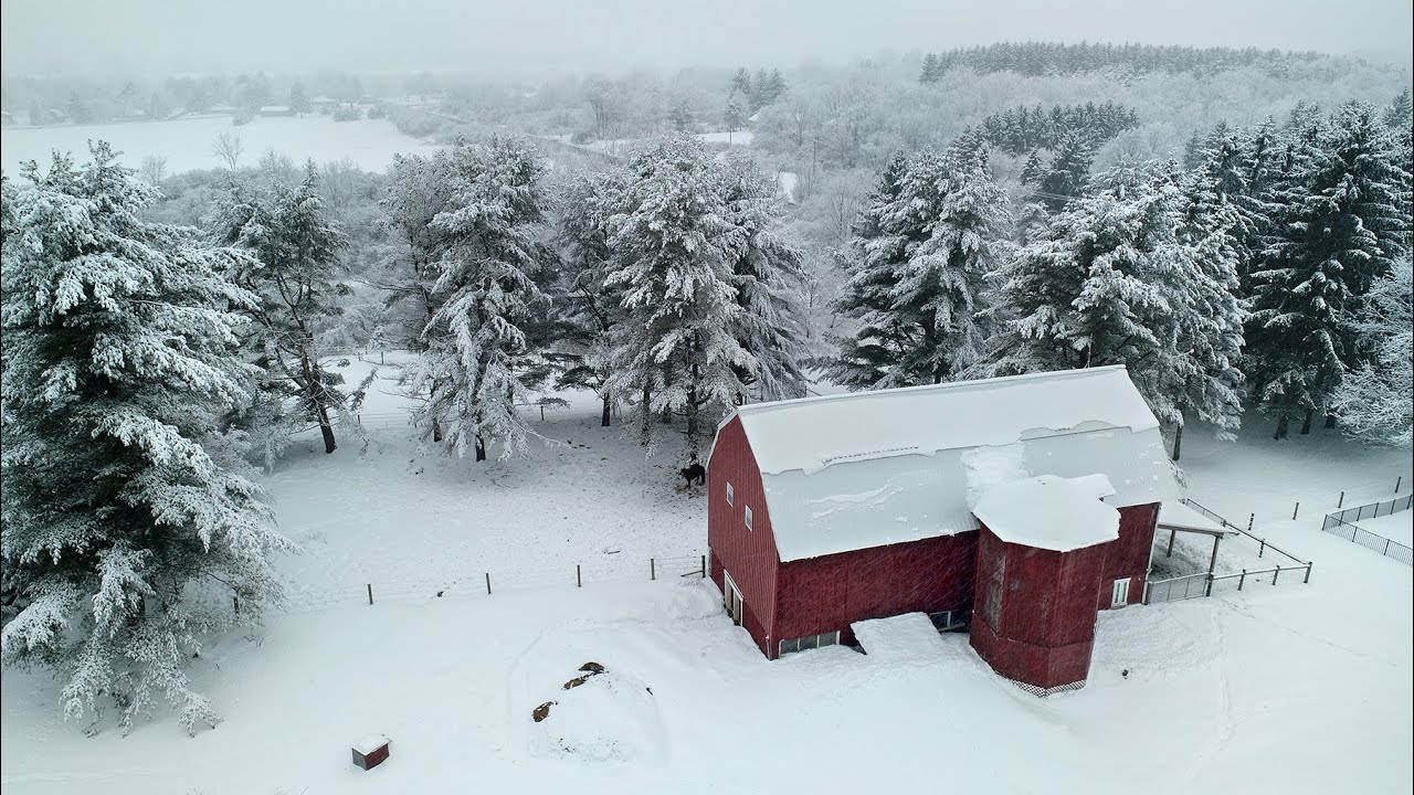 Upstate NY winter at its best | Newzjunky